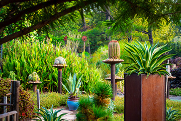 Department of Horticulture and Landscape Architecture | Oklahoma State ...