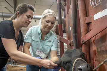 Women-only cattle camp empowers female ranchers | Oklahoma State University