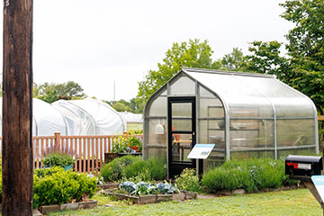 Department of Horticulture and Landscape Architecture | Oklahoma State ...