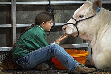 Livestock biosecurity a diligent and serious task | Oklahoma State ...