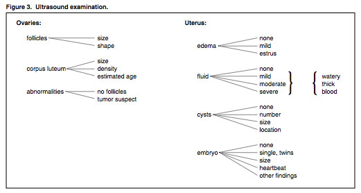 Reproductive Management of the Mare | Oklahoma State University